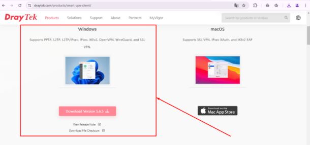 Smart VPN Client da Draytek - Blog - Ravel Tecnologia